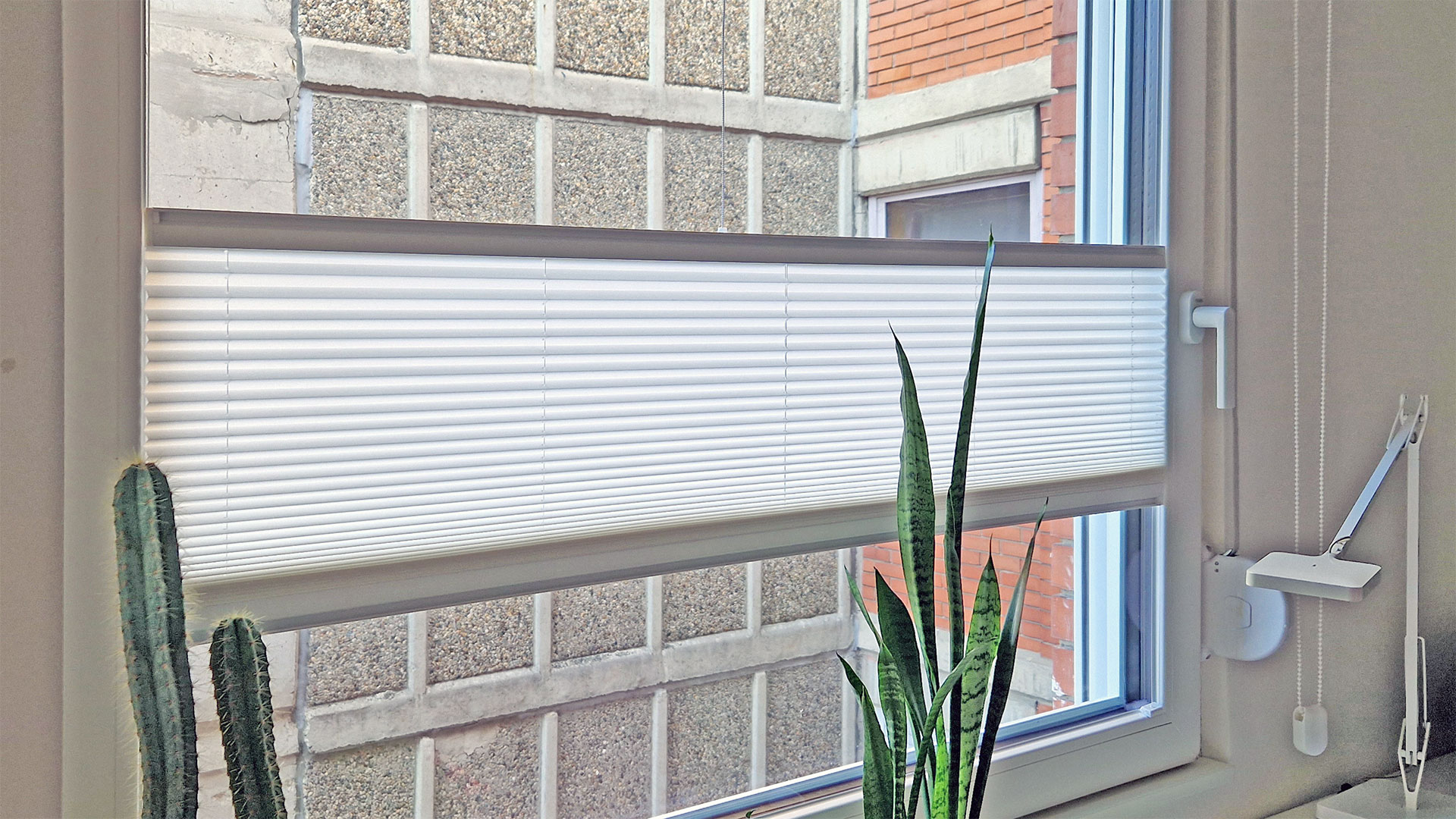 Plise zavesa: Evo kako da se zaštitite od komšijskih pogleda – Dizajn ...