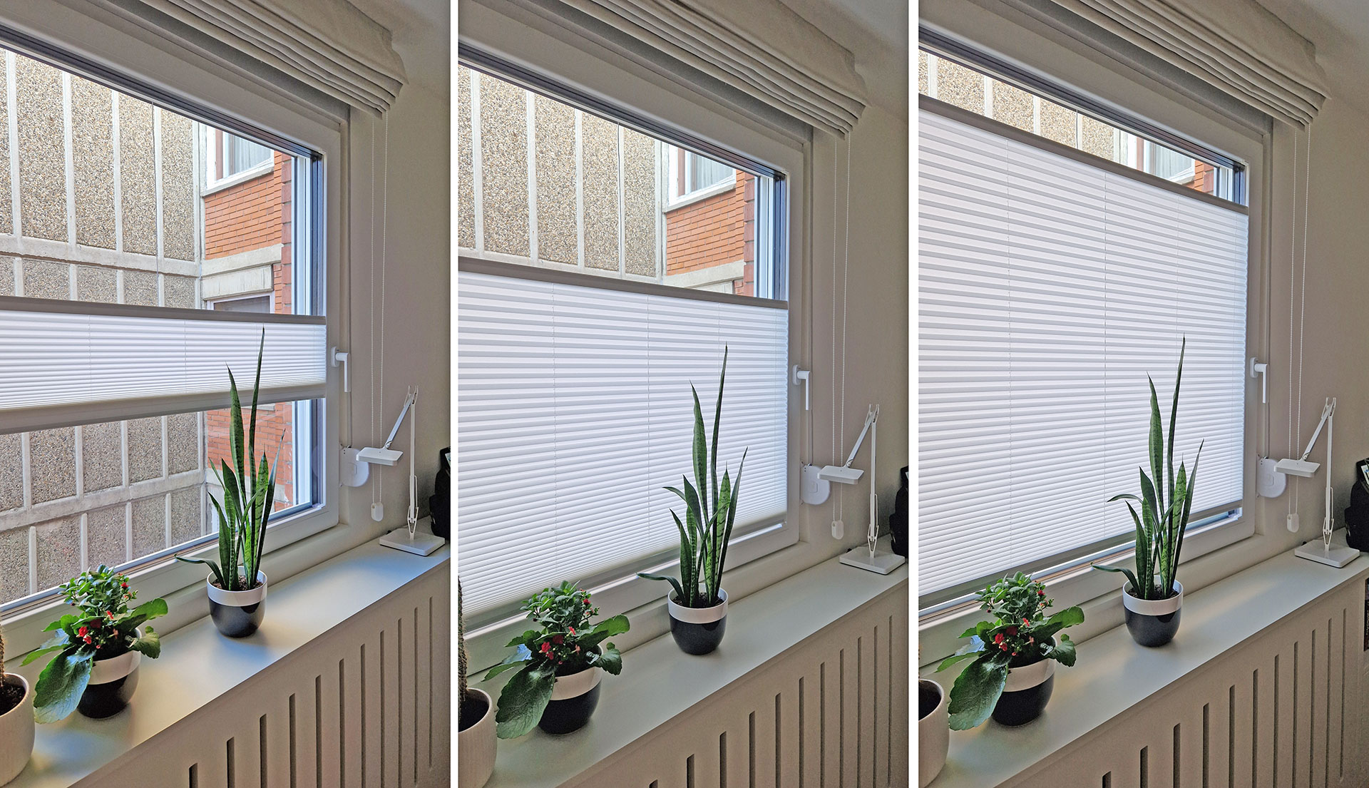 Plise zavesa: Evo kako da se zaštitite od komšijskih pogleda – Dizajn ...